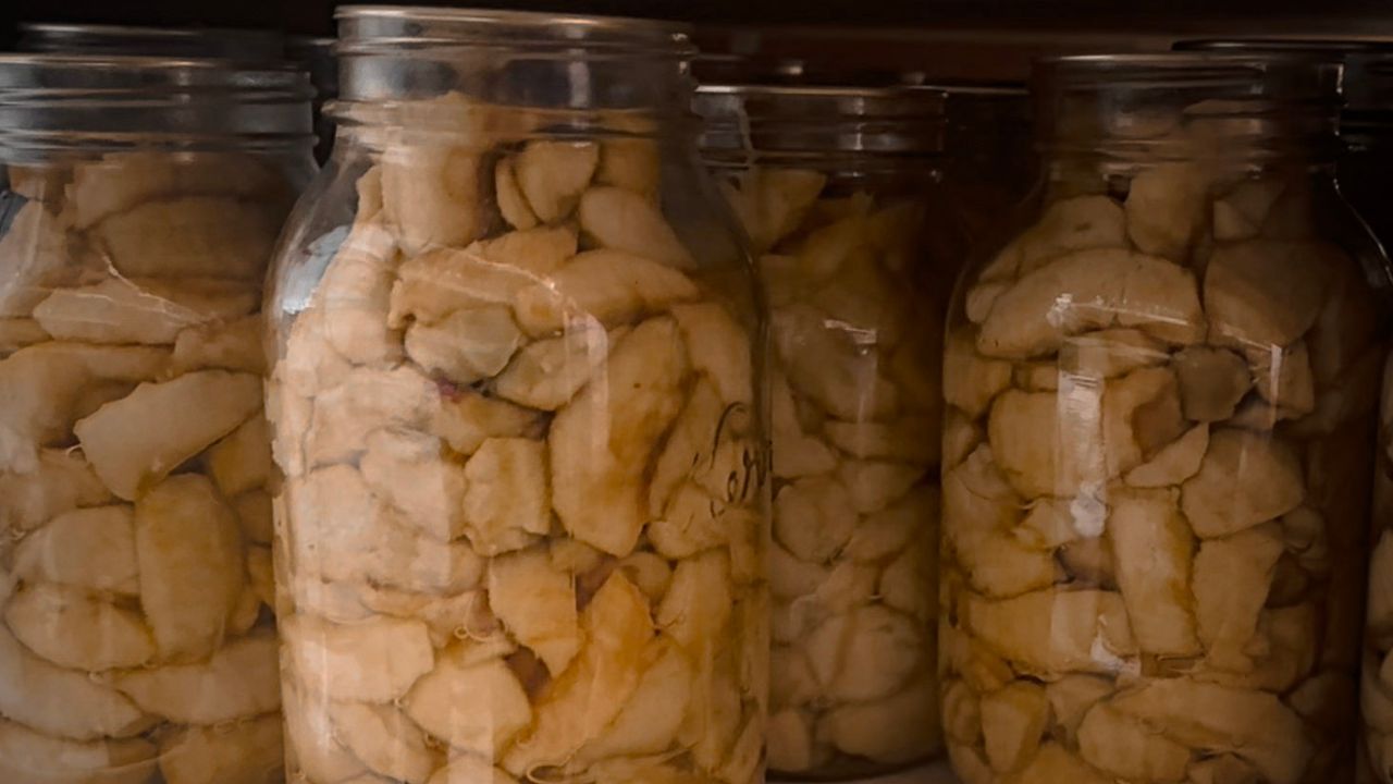 How To Start A Homestead Pantry - Full YouTube Pantry Tour - Wagon ...