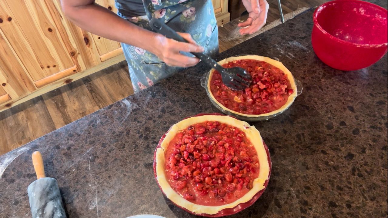 The Best Homemade Cherry Pie Recipe (Video) - Wagon Wheel Homestead