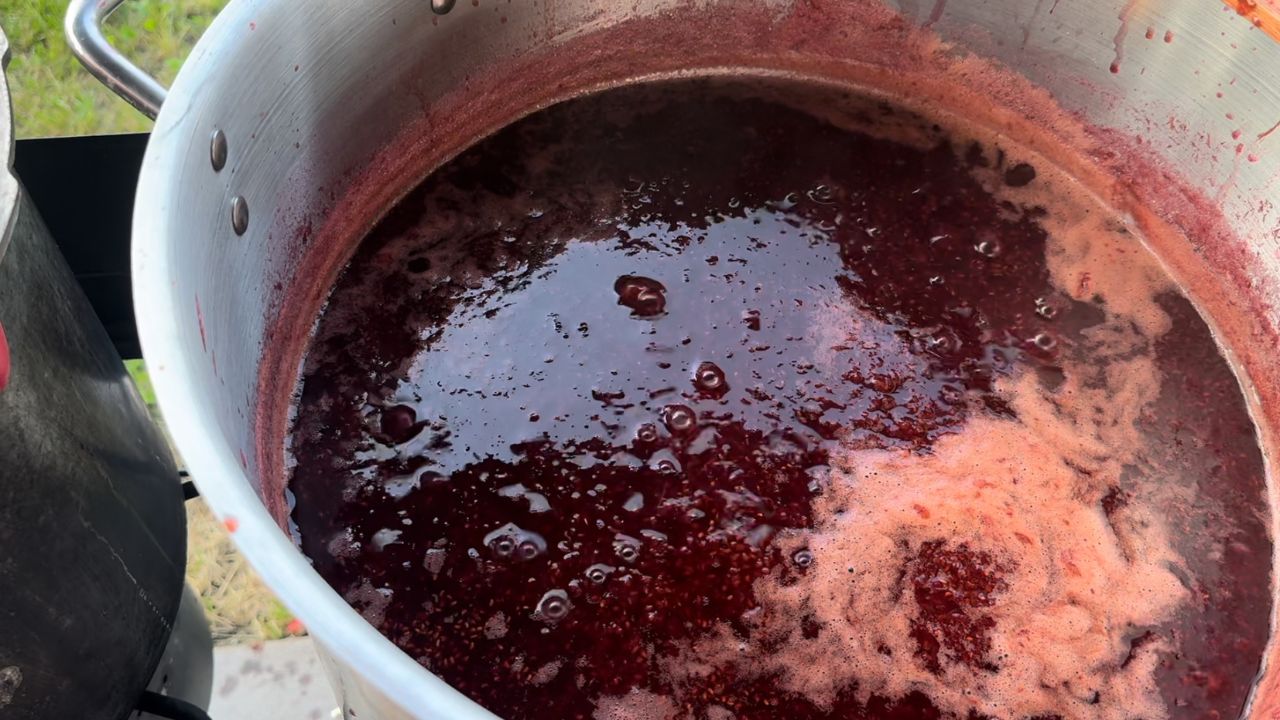 How To Make Easy Homemade Jam Without Pectin (Video) - Wagon Wheel ...