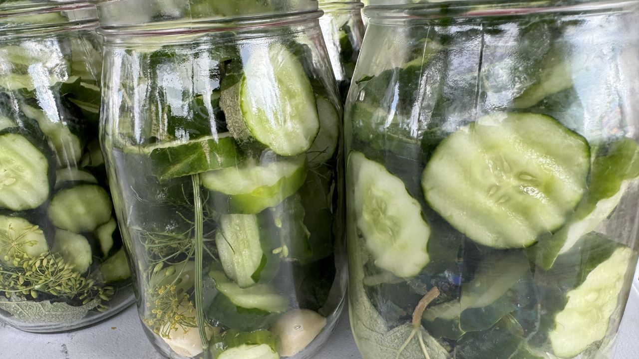 Sweet Dill Pickles Recipe - Wagon Wheel Homestead