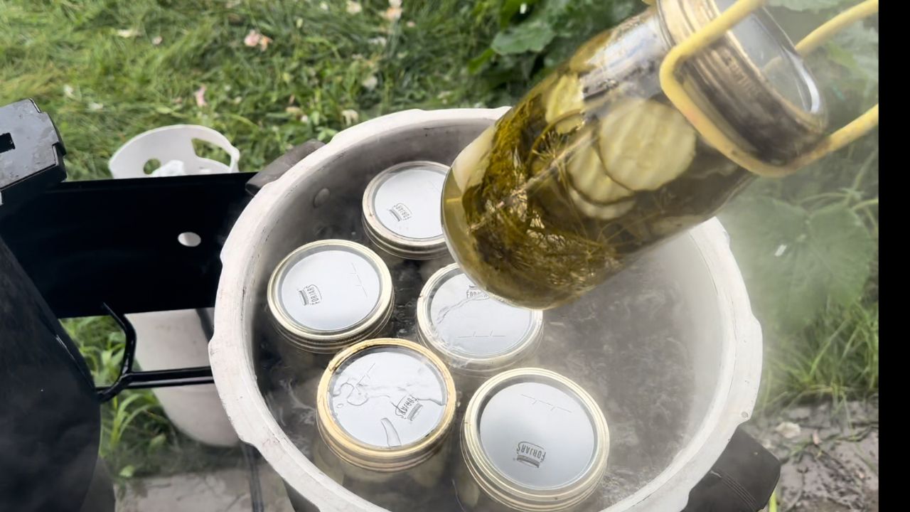 Sweet Dill Pickles Recipe - Wagon Wheel Homestead