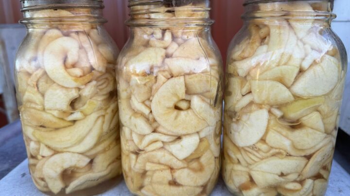 How To Can Apples | Preserving Apples For Pie (Video) - Wagon Wheel ...