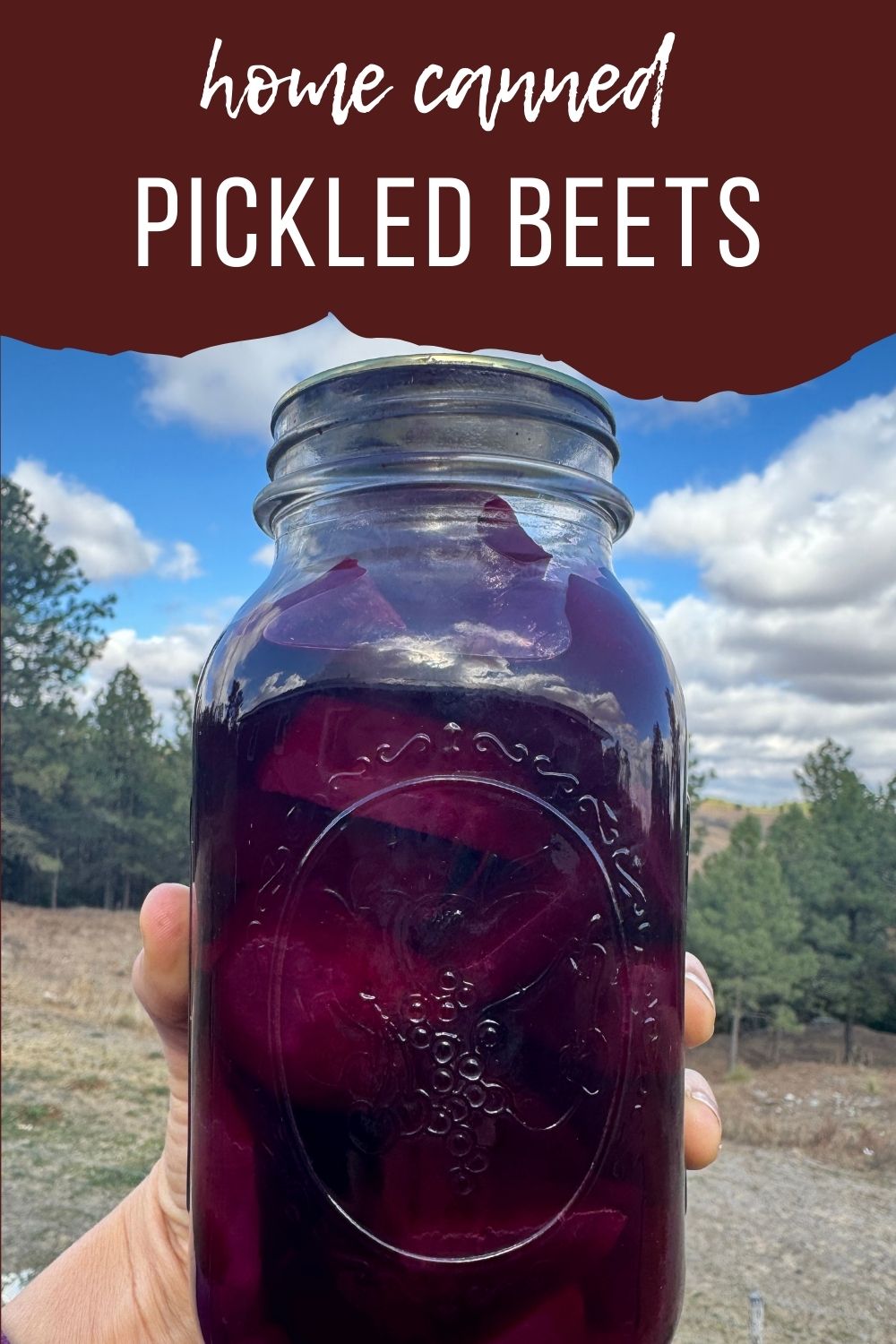 Canned Pickled Beets - Simple Old Fashioned Recipe (Video) - Wagon ...