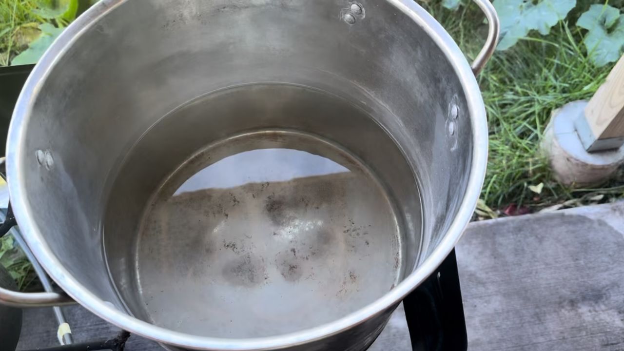 How To Can Whole Tomatoes (Video Tutorial) - Wagon Wheel Homestead