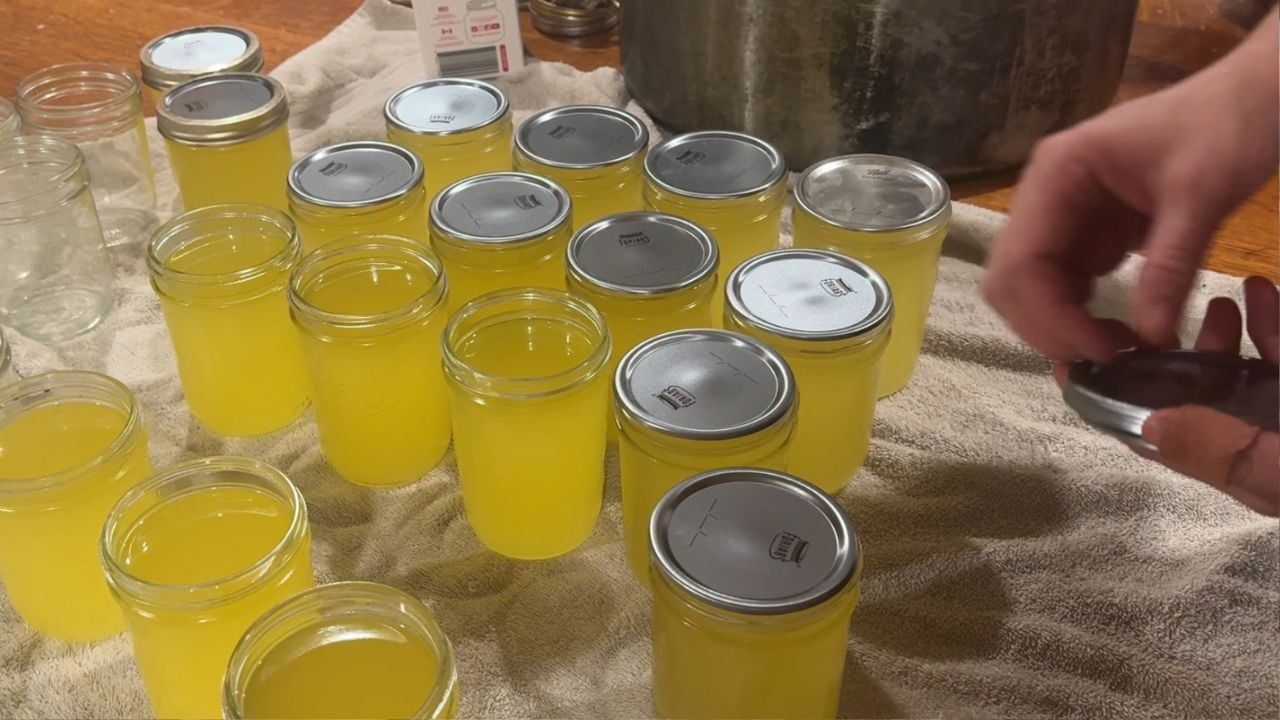 How To Process Beef Tallow - A Healthy & Traditional Fat (Video ...