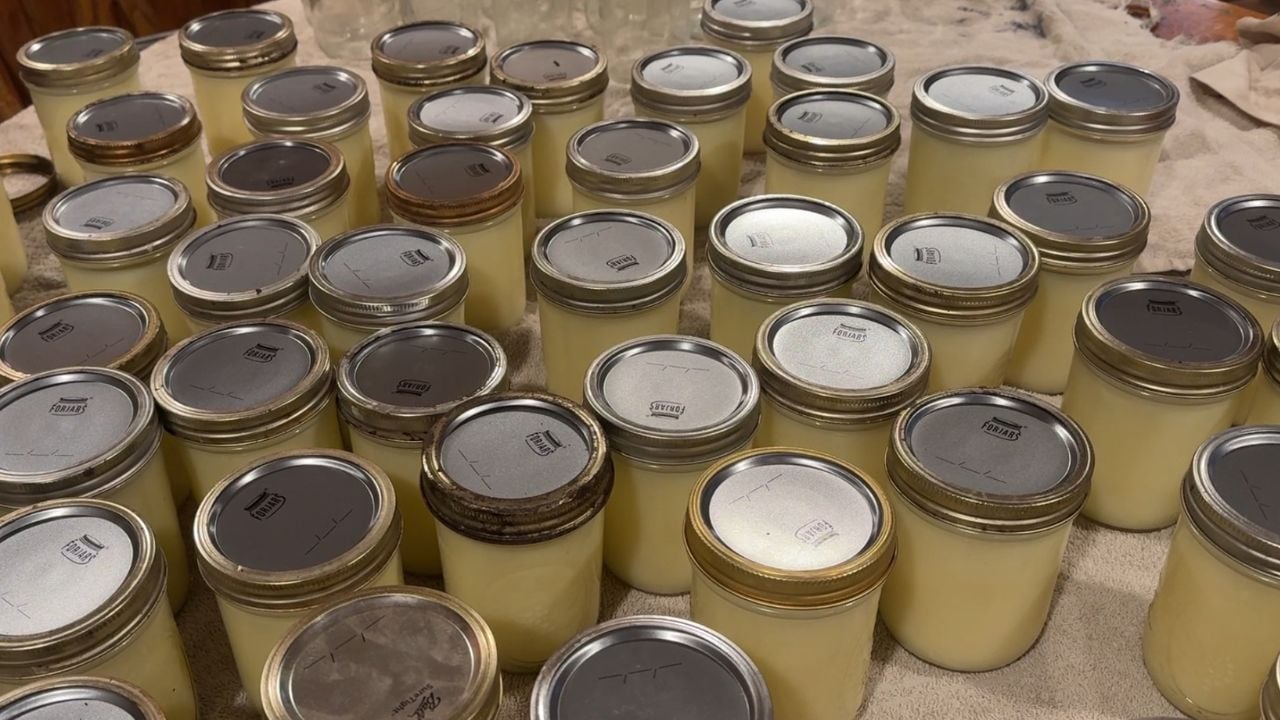 How To Process Beef Tallow - A Healthy & Traditional Fat (Video ...