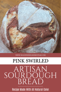 Pink Swirled Artisan Sourdough Bread Recipe Made With All Natural Color ...