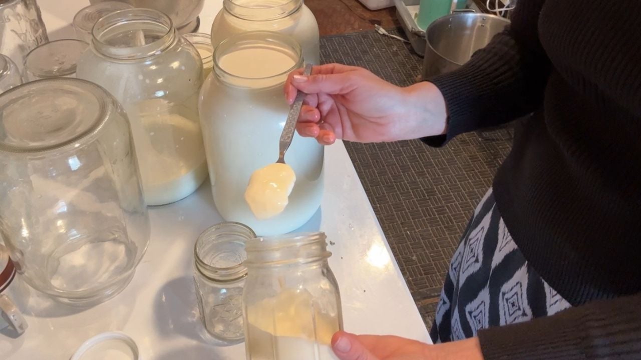 How To Start & Maintain A Clabber Culture For Cheesemaking - Wagon ...