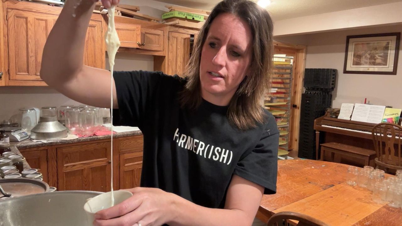 Homemade Mozzarella Cheese Made With Clabber Culture - Wagon Wheel ...