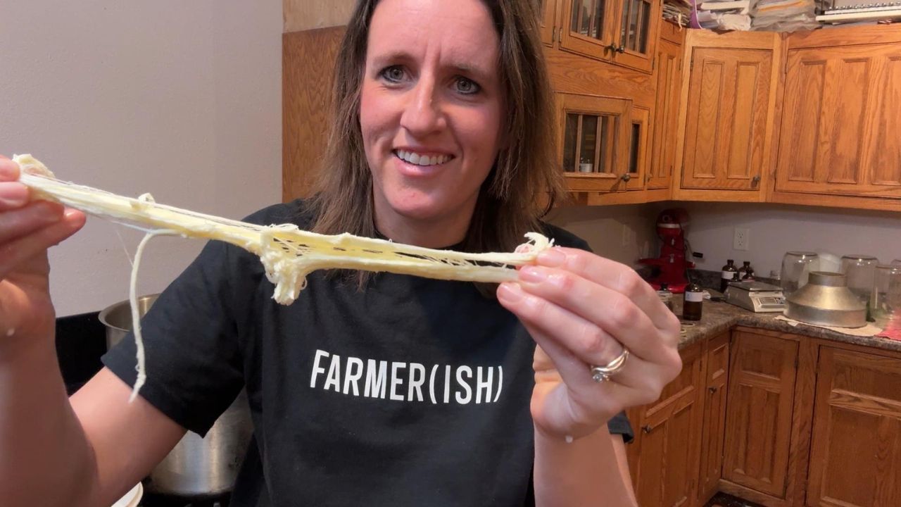 Homemade Mozzarella Cheese Made With Clabber Culture - Wagon Wheel ...