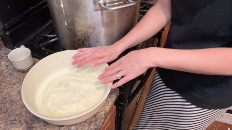 Homemade Mozzarella Cheese Made With Clabber Culture - Wagon Wheel ...