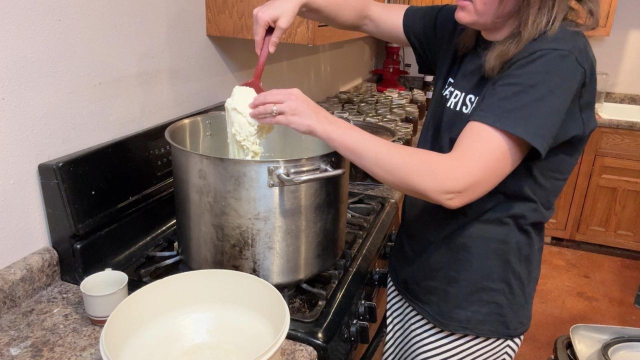 Homemade Mozzarella Cheese Made With Clabber Culture - Wagon Wheel ...