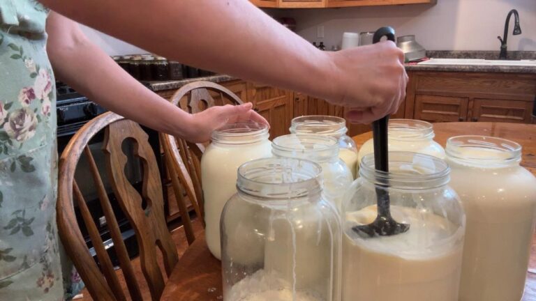 How To Make Old Fashioned Homemade Sour Cream - Wagon Wheel Homestead