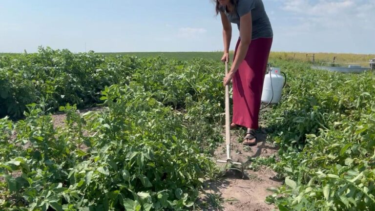 How To Keep Weeds Out Of Your Garden - 5 Easy Ways - Wagon Wheel Homestead
