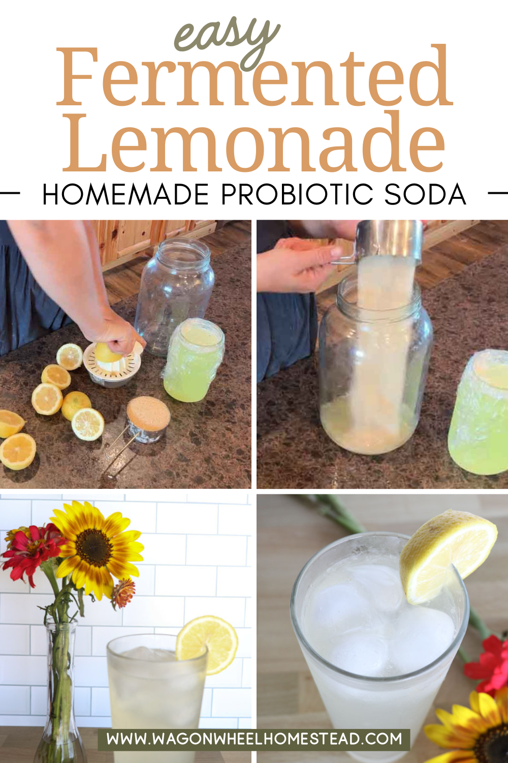Easy Fermented Lemonade -Homemade Probiotic Soda - Wagon Wheel Homestead