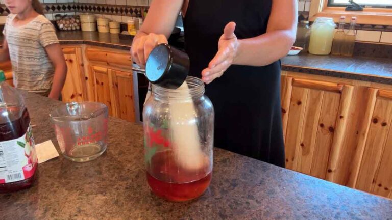 All Natural Homemade Gatorade Recipe - With Video - Wagon Wheel Homestead