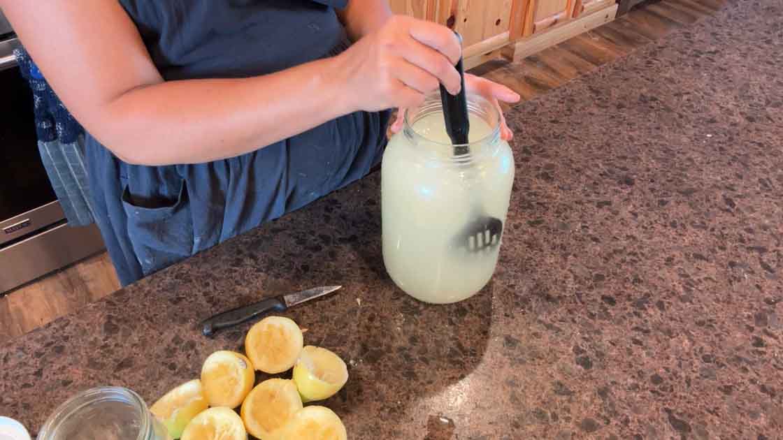 Easy Fermented Lemonade -Homemade Probiotic Soda - Wagon Wheel Homestead