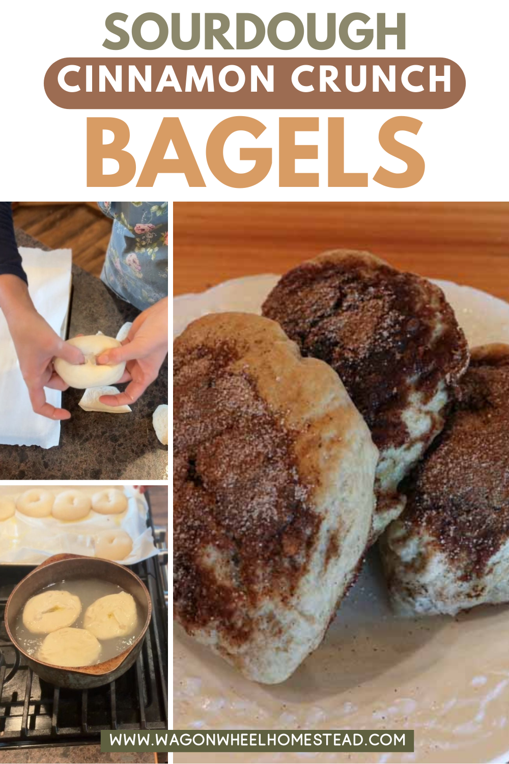 Sourdough Cinnamon Crunch Bagels - Wagon Wheel Homestead